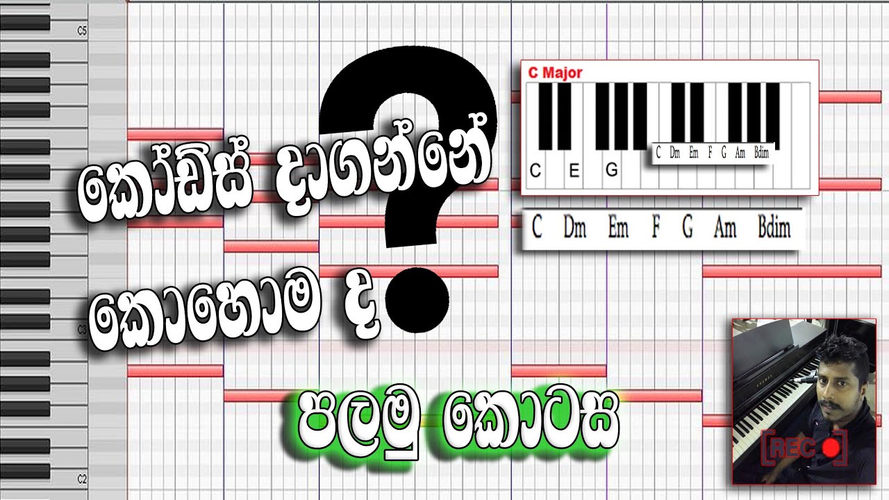 How to put the codes| කෝඩ්ස් දාන්නේ කොහොමද - YouTube