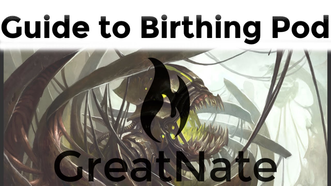 Modern Guide to Birthing Pod - YouTube