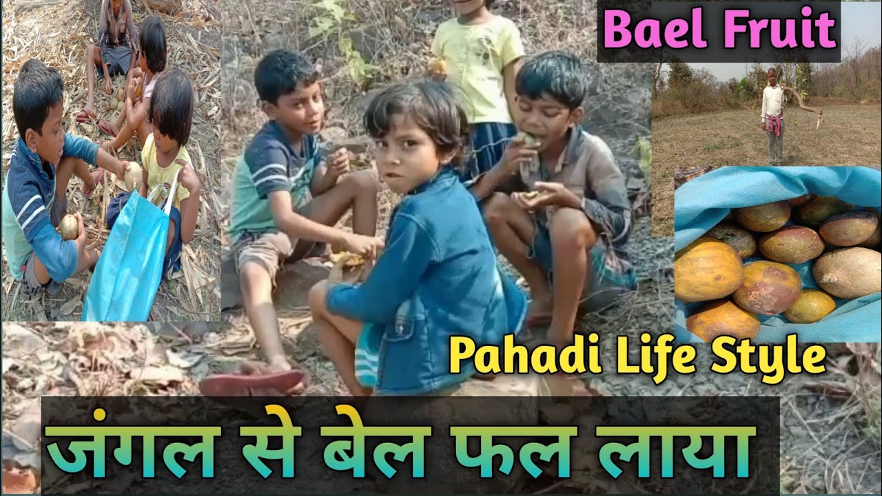Pahadi Life Style || जंगल से बेल फल लाया || Village Life Vlog 🔥 - YouTube