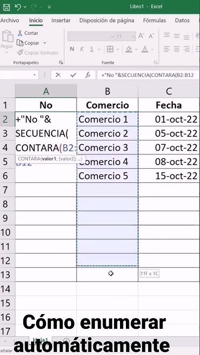 Cómo enumerar automáticamente en Excel. - YouTube
