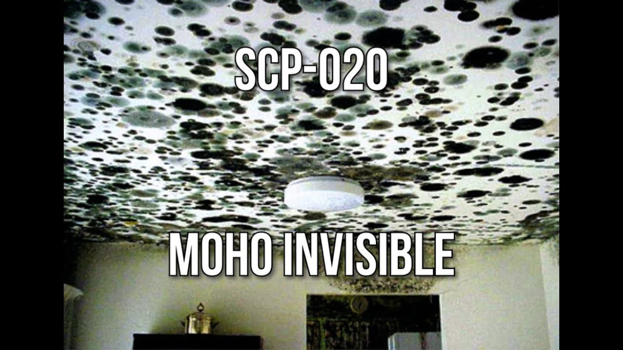 SCP-020 - Moho Invisible - YouTube