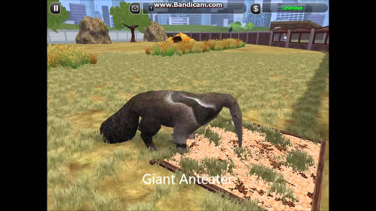 ZT2 Zoo Preview 1 - YouTube