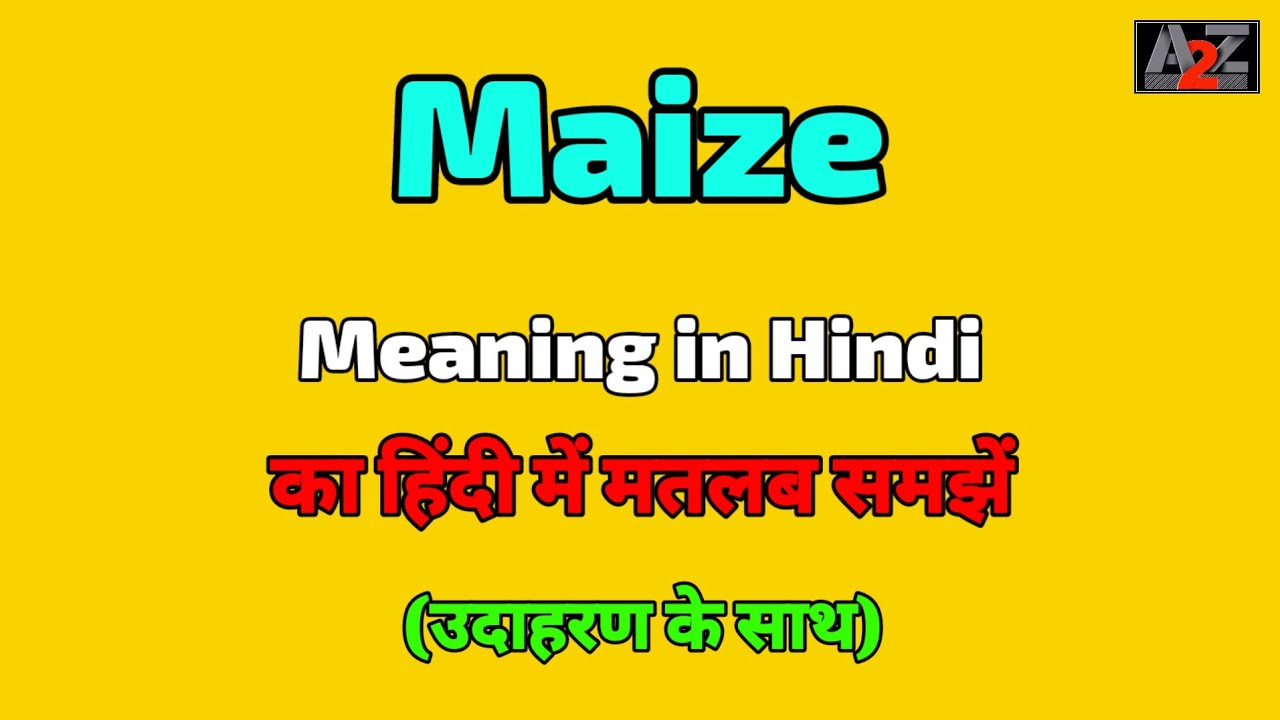 Maize meaning in Hindi ? Maize ka kya matlab hota hai ? A To Z Word ...