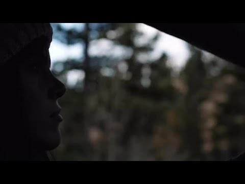 Driving Past Forest Trees Stock Video - YouTube