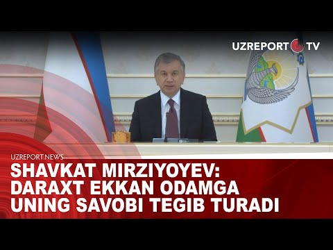 Shavkat Mirziyoyev: Daraxt ekkan odamga uning savobi tegib turadi