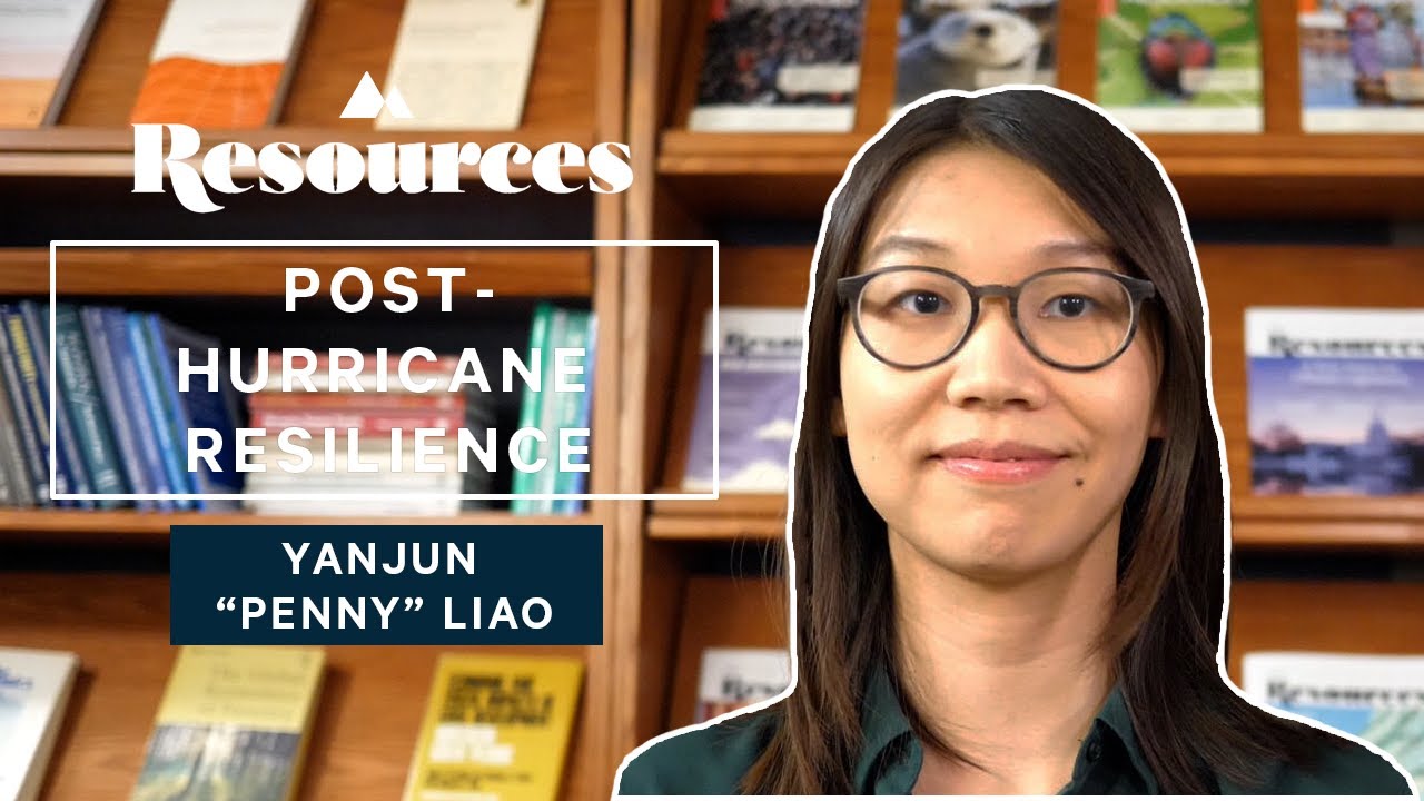 In Focus—Yanjun "Penny" Liao on Post-Hurricane Resilience - YouTube