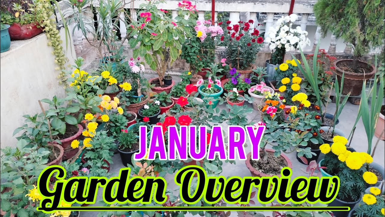 January Garden Overview | Winter Garden Overview... - YouTube