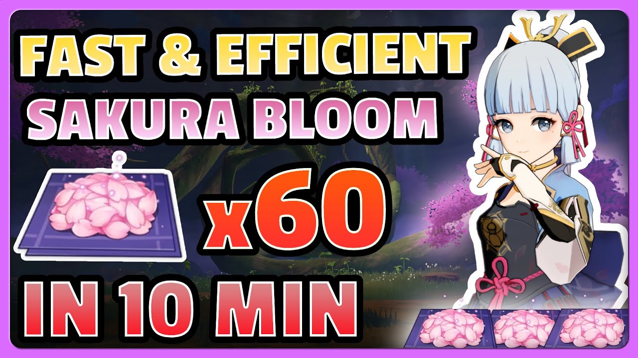 60 EASY SAKURA BLOOM FARM !!! Fast & Efficient Routes | Genshin Impact ...