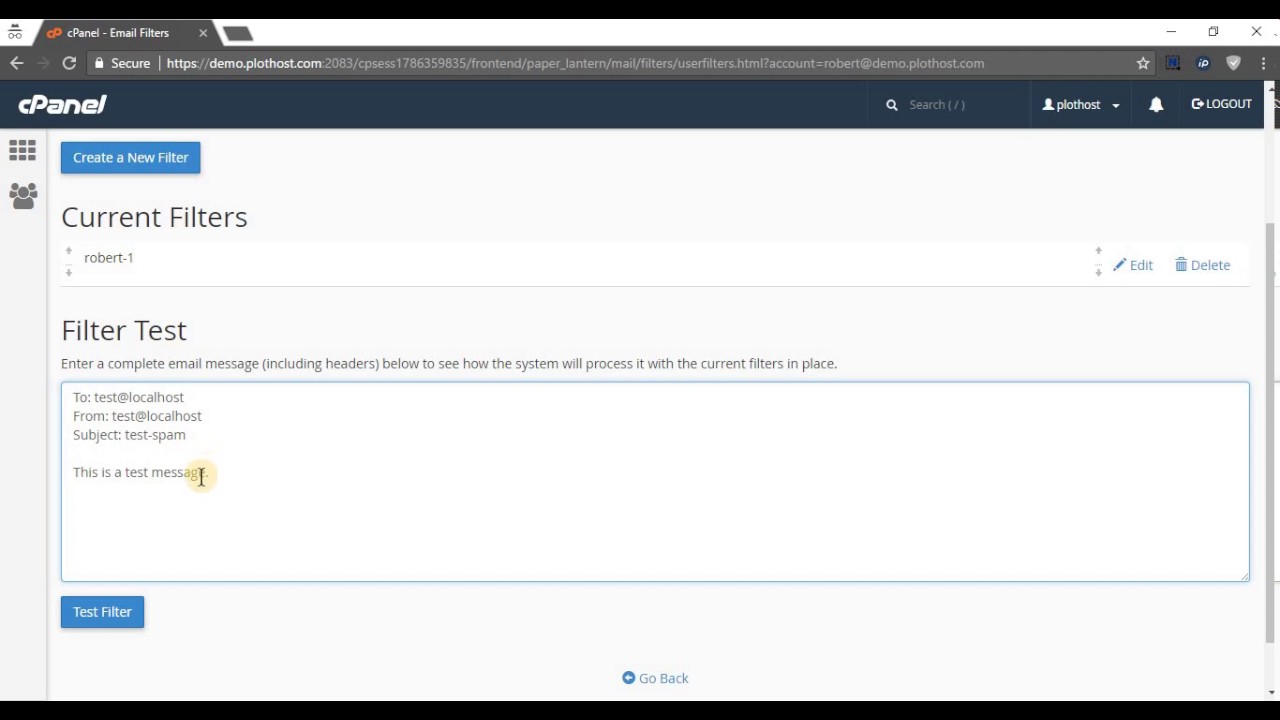 Working with email filters and global email filters in cPanel - YouTube