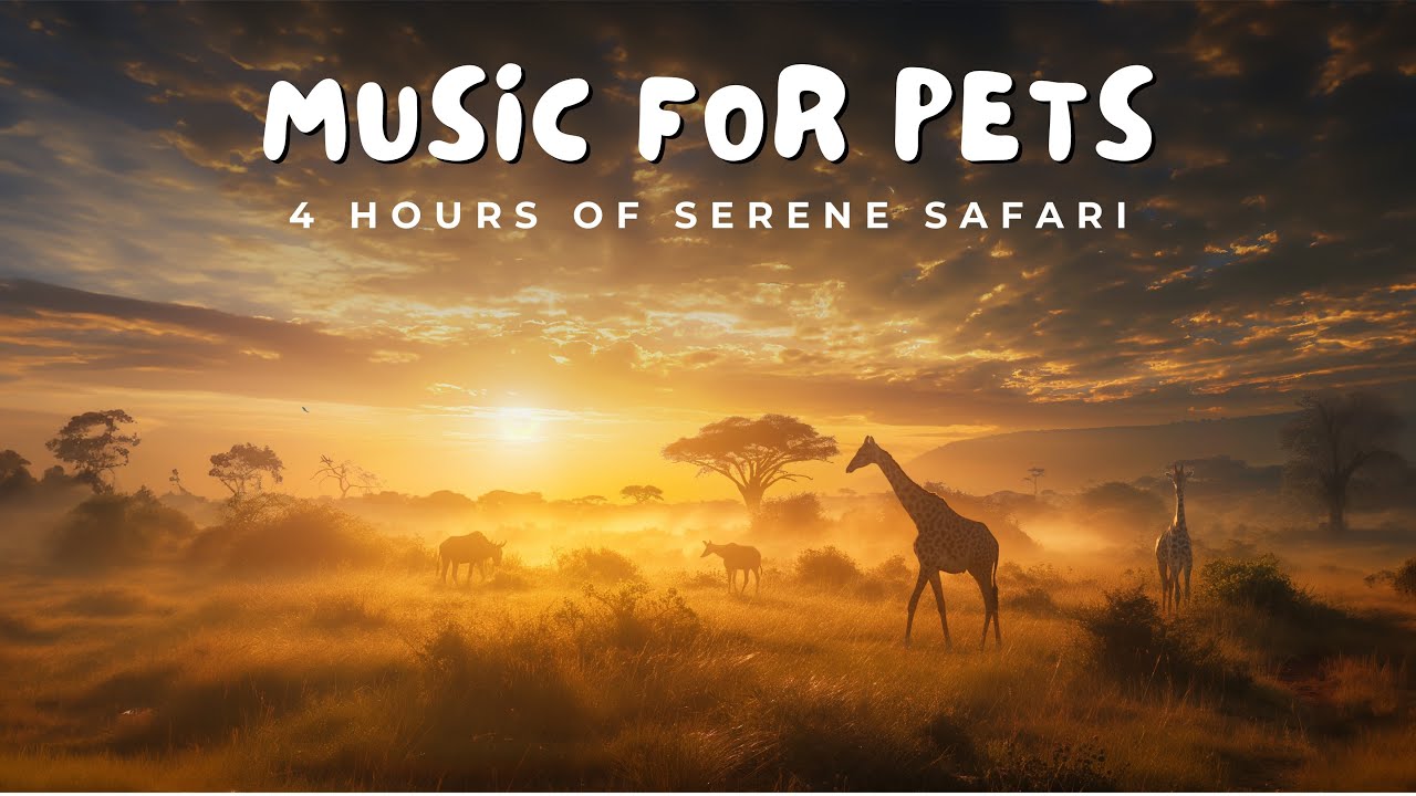 🦁 4 Hours of Serene Safari Music | 🐘 Wildlife Relaxation for Pets ...