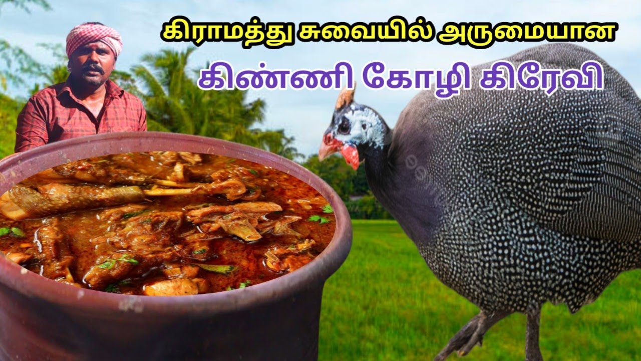 GUINEAFOWL CURRY RECIPE IN TAMIL | KINNI KOLI GRAVY | KINNI KOZHI ...