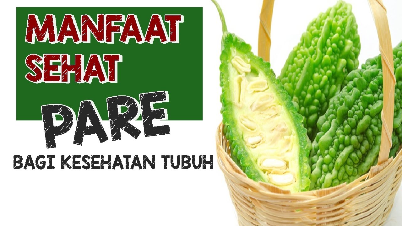 Manfaat Pare Bagi Kesehatan Tubuh - YouTube