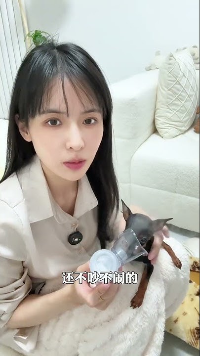 第一次给小猫小狗在家做雾化 Youtube