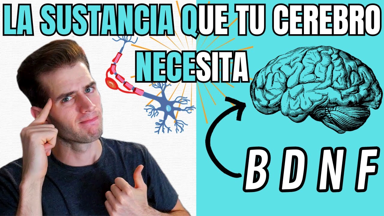 BDNF la SUSTANCIA que tu CEREBRO NECESITA - YouTube