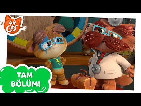 44 Kedi | Sezon 1 Bölüm 11 - Kedi Gribi [TAM BÖLÜM]