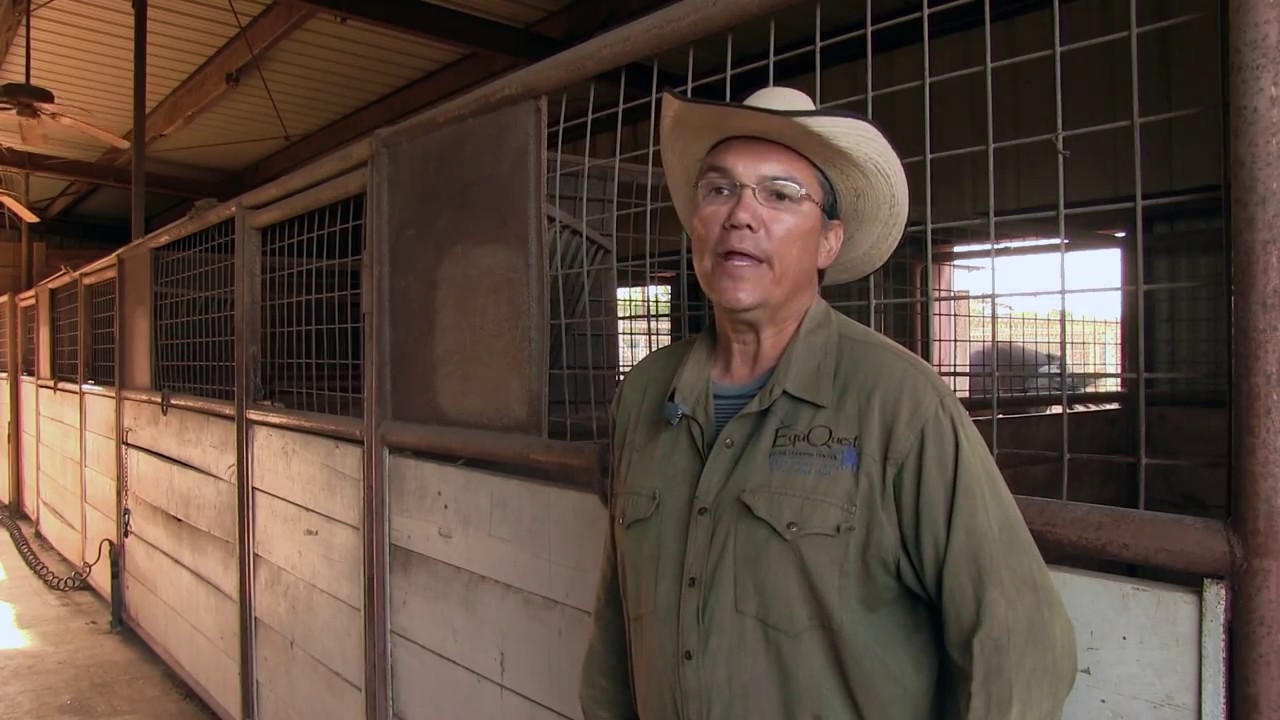 EquQuest 1 - YouTube