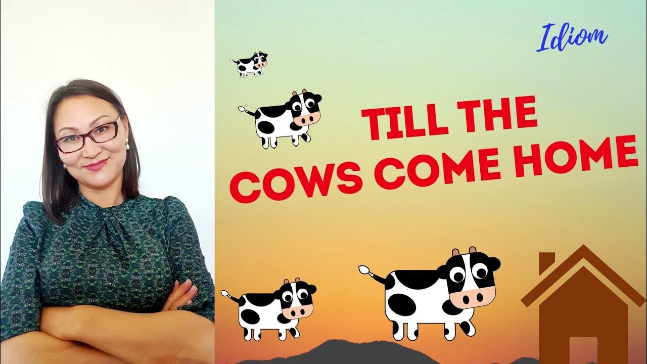 TILL THE COWS COME HOME idiom - YouTube