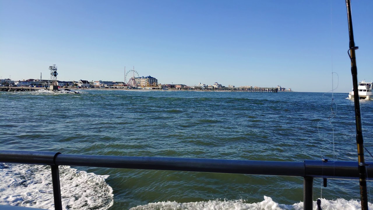 Ocean Princess Fishing Trip, Ocean City, MD - 8/29/2019 - YouTube