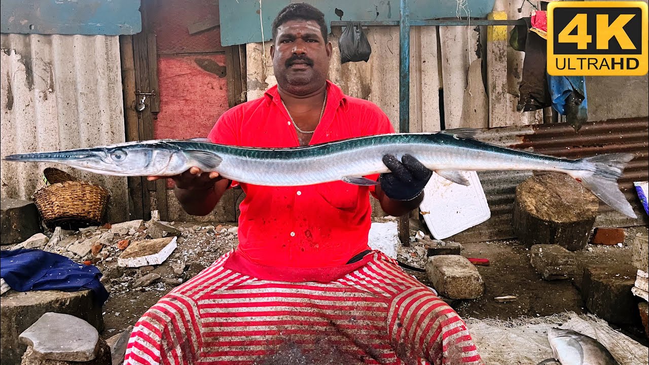 Usi kola/Paarai fish/Seruppu Meen cutting video/Fishcuttingrs - YouTube