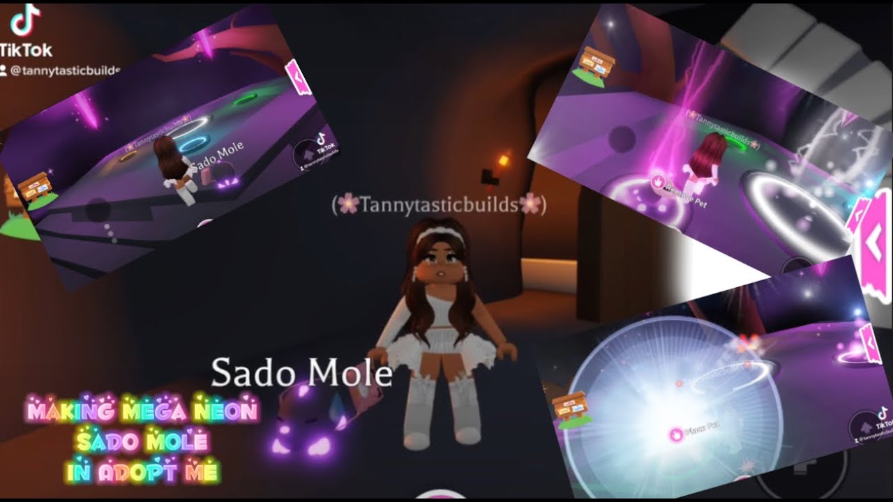 💖 Making Mega Neon Sado Mole in Adopt Me 💖 - YouTube