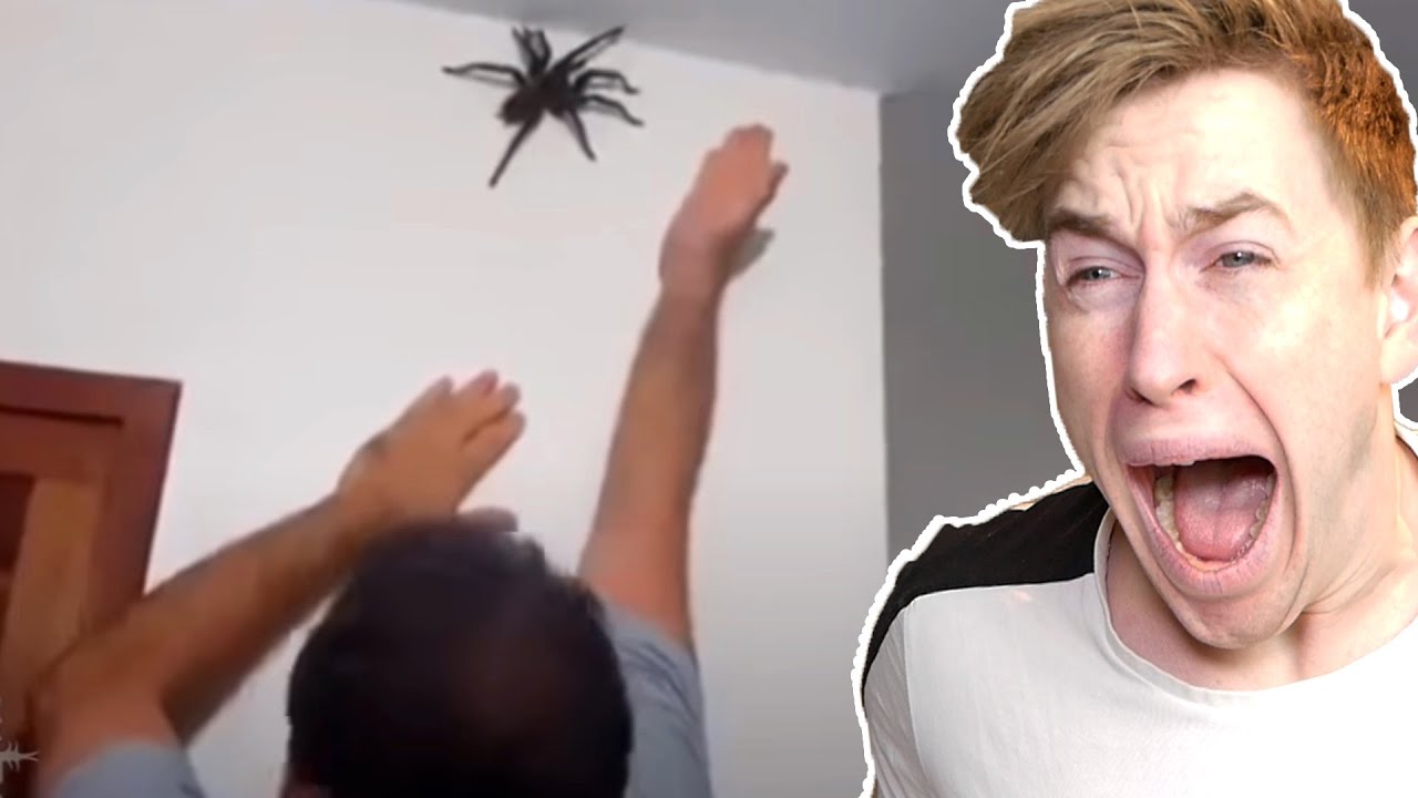 Try NOT to LOOK AWAY *Challenge* (99.9% FAIL) - YouTube