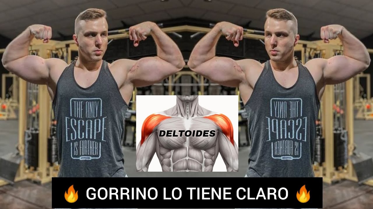 GORRINO ÉSTO LO TIENE MUY CLARO en su PRESS MILITAR! | Hipertrofia ...