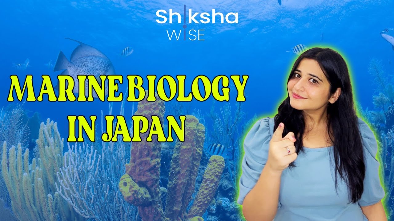 Why Study MARINE BIOLOGY in JAPAN?|Top Universities, Scholarships ...