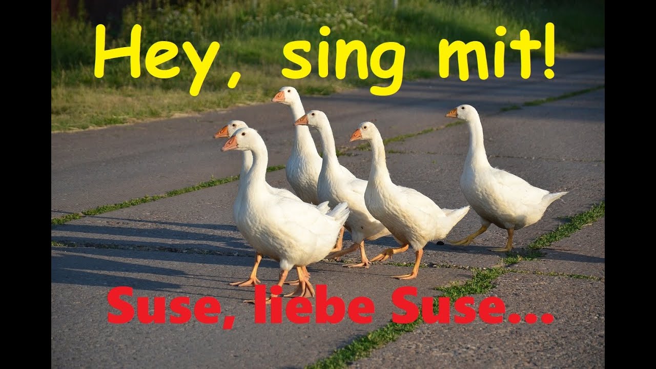 🎵🌾🦗🌽🪶🐭🛏️👀"Suse, liebe Suse, was raschelt..." - Kinder- u. Volkslieder ...