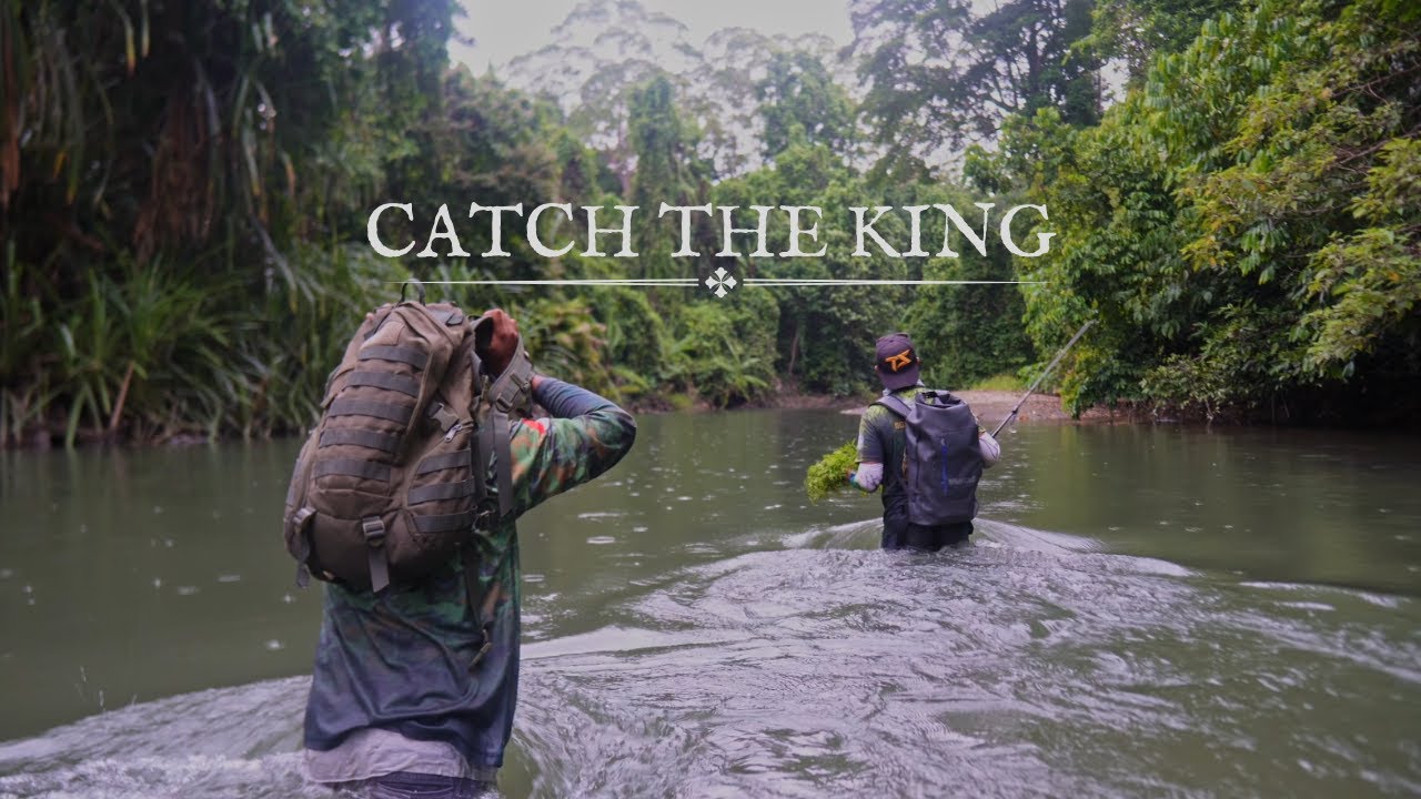 CATCH THE KING | Spot Tail Bass - YouTube