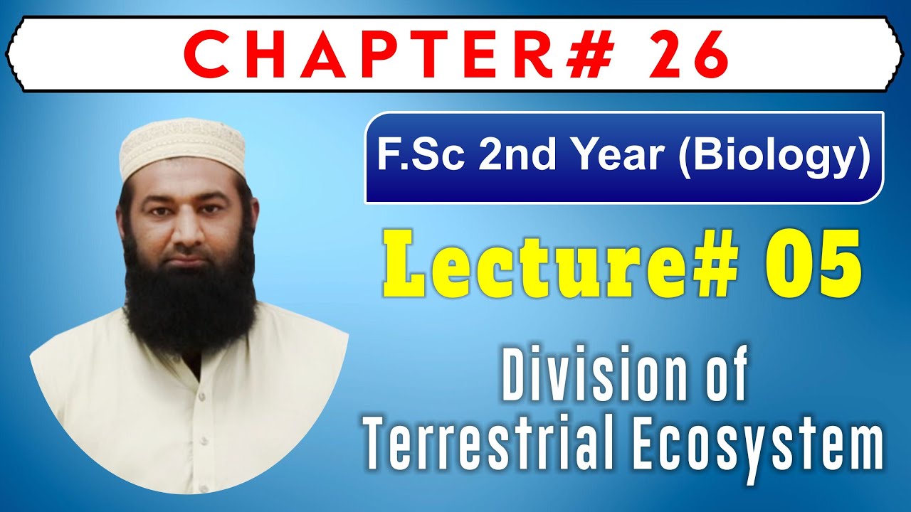 Biology Ch#26-Lecture#05 Division of Terrestrial Ecosystem (F.Sc 2nd ...