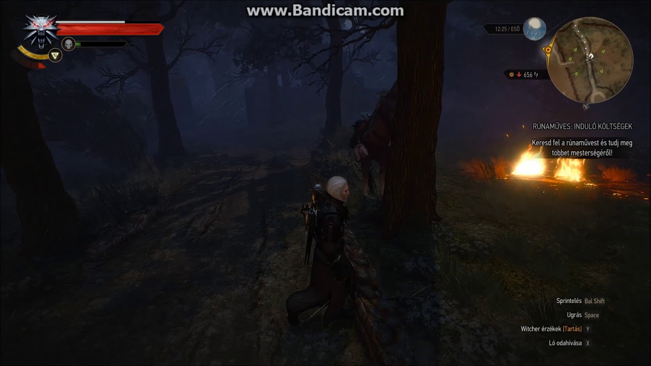 The Witcher 3 - Roach is trying to hump a tree because he has the urge ...