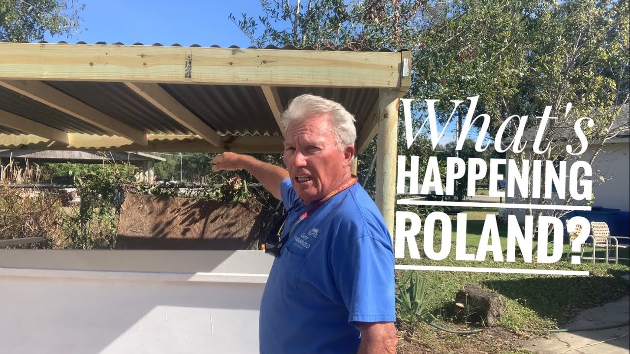 What's Happening Roland? - YouTube