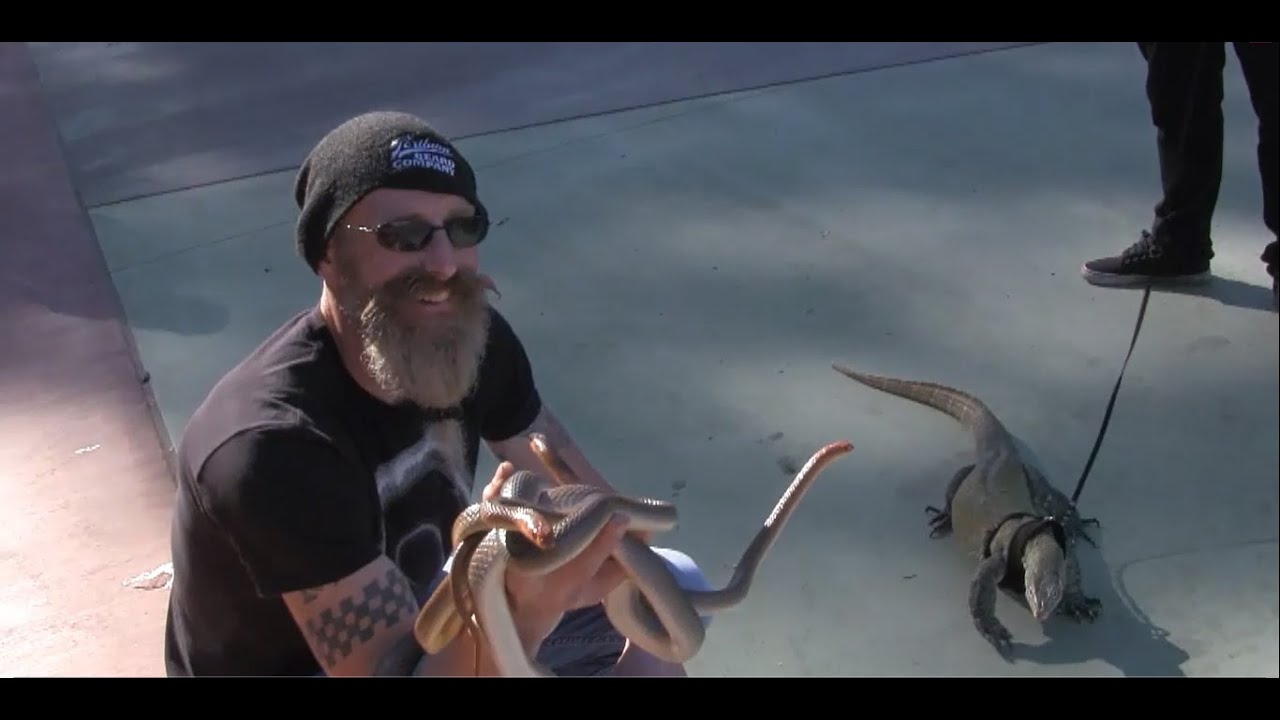 Animals and Enthusiasts at Repticon Los Angeles - YouTube