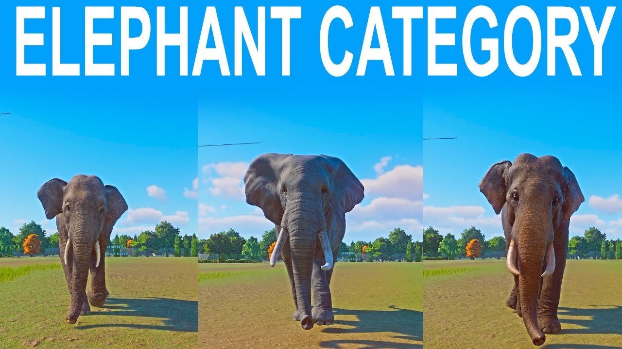 Elephant Category Speed Race in Planet Zoo included Bornean Elephant ...