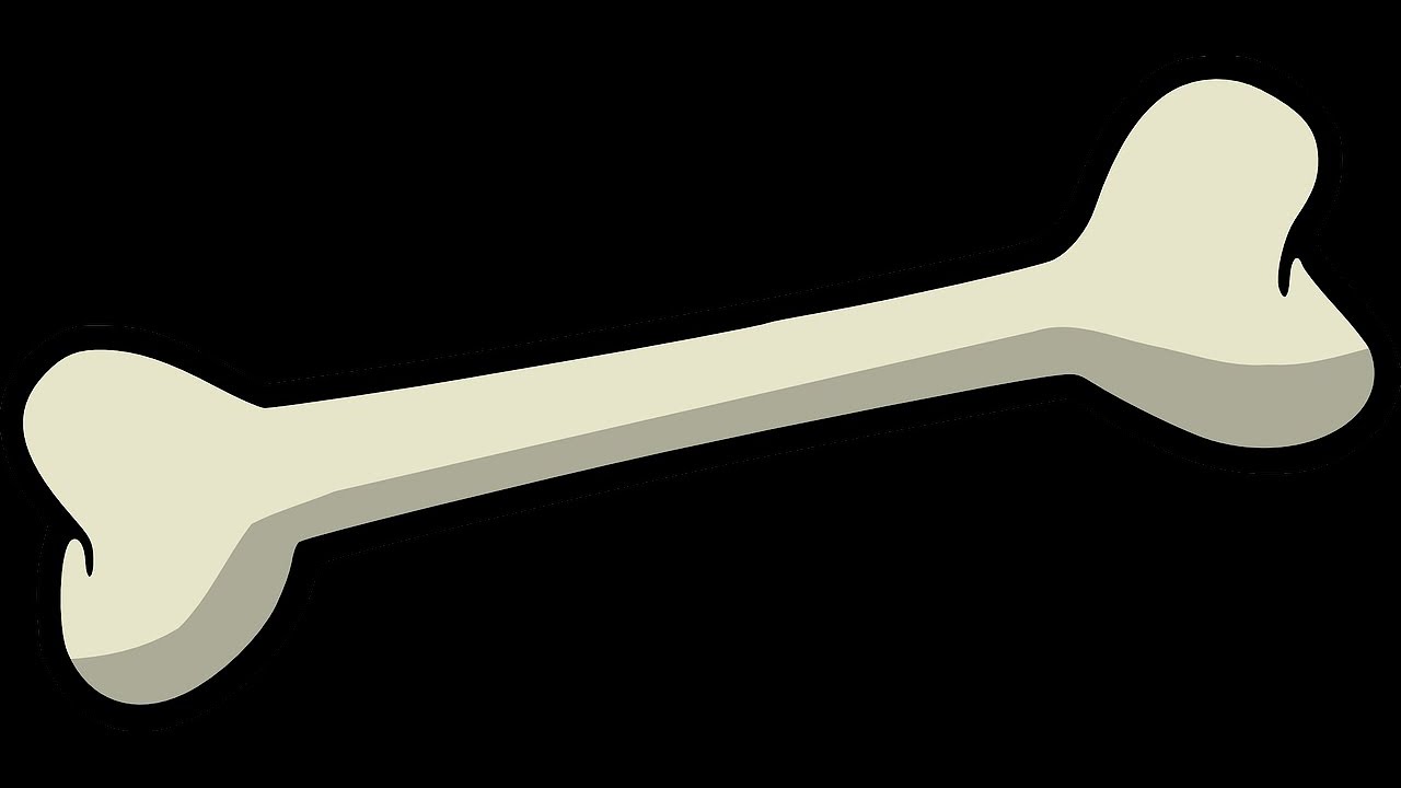 Bone Crack - Sound Effect (HD) - YouTube