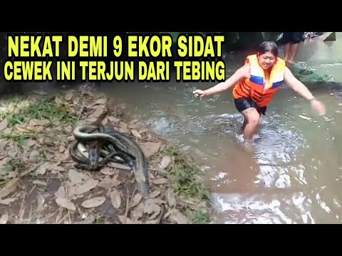 NEKAT DEMI MENYELAMATKAN 9 EKOR IKAN SIDAT CEWEK INI SAMPE RELA HARU TERJUN DARI TEBING!!!