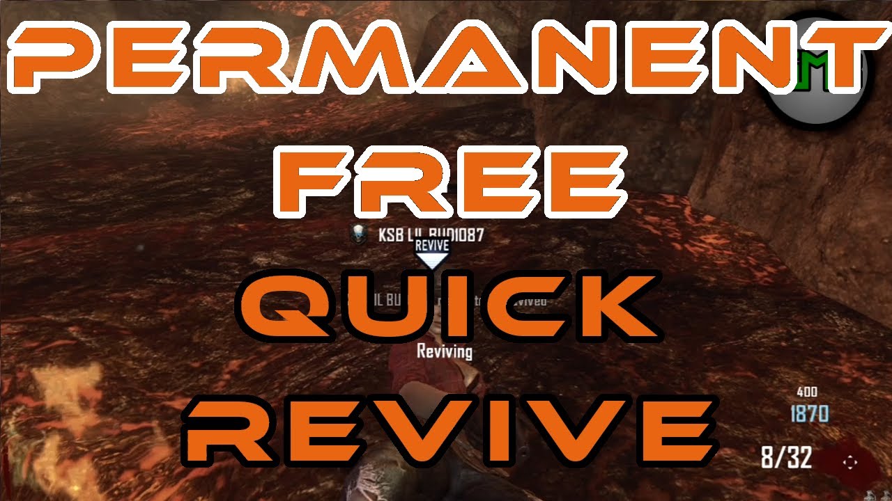 Black Ops 2 Permanent Quick Revive for FREE - YouTube