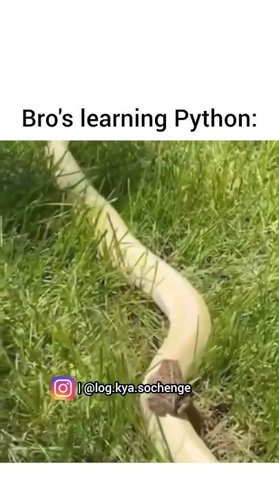 Bro Learning Programming #python #reels #funny #memes #programming - YouTube