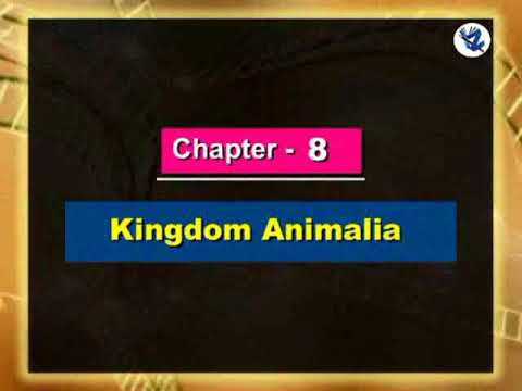 Chapter - 8 KINGDOM ANIMALIA Of 11 standard - YouTube