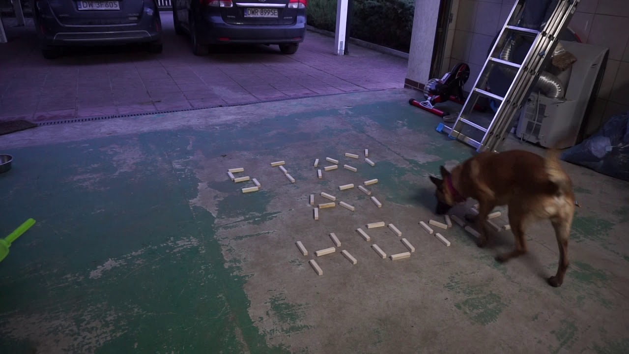Stayathome Youtube