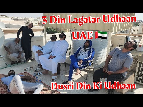 3 Din Lagatar Udhaan Update |Dusri Din Ki Parwaz Kabotaron Ki @AJMANPIGEONCLUB|Kabotar Baazi