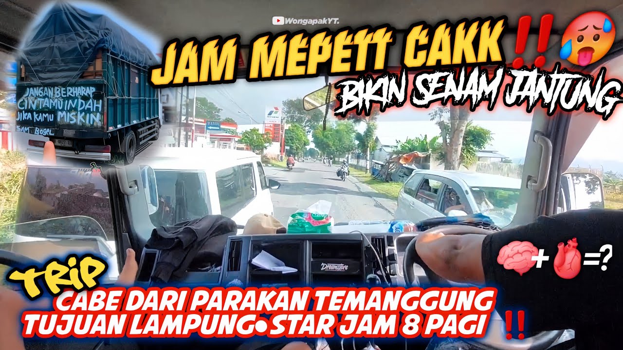 Trip bawa cabe dari parakan Temanggung tujuan Lampung//Star jam 8 pagi‼ ...