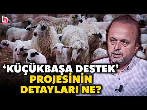 Erdoğan dün akşam açıkladı: 'Kırsalda bereket, küçükbaşa destek' projesinin detaylarında neler var?
