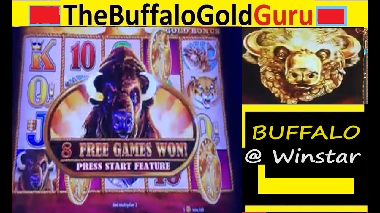 BONUS ROUNDS and LIVE PLAY at Winstar Casino! (Buffalo Gold!) - YouTube
