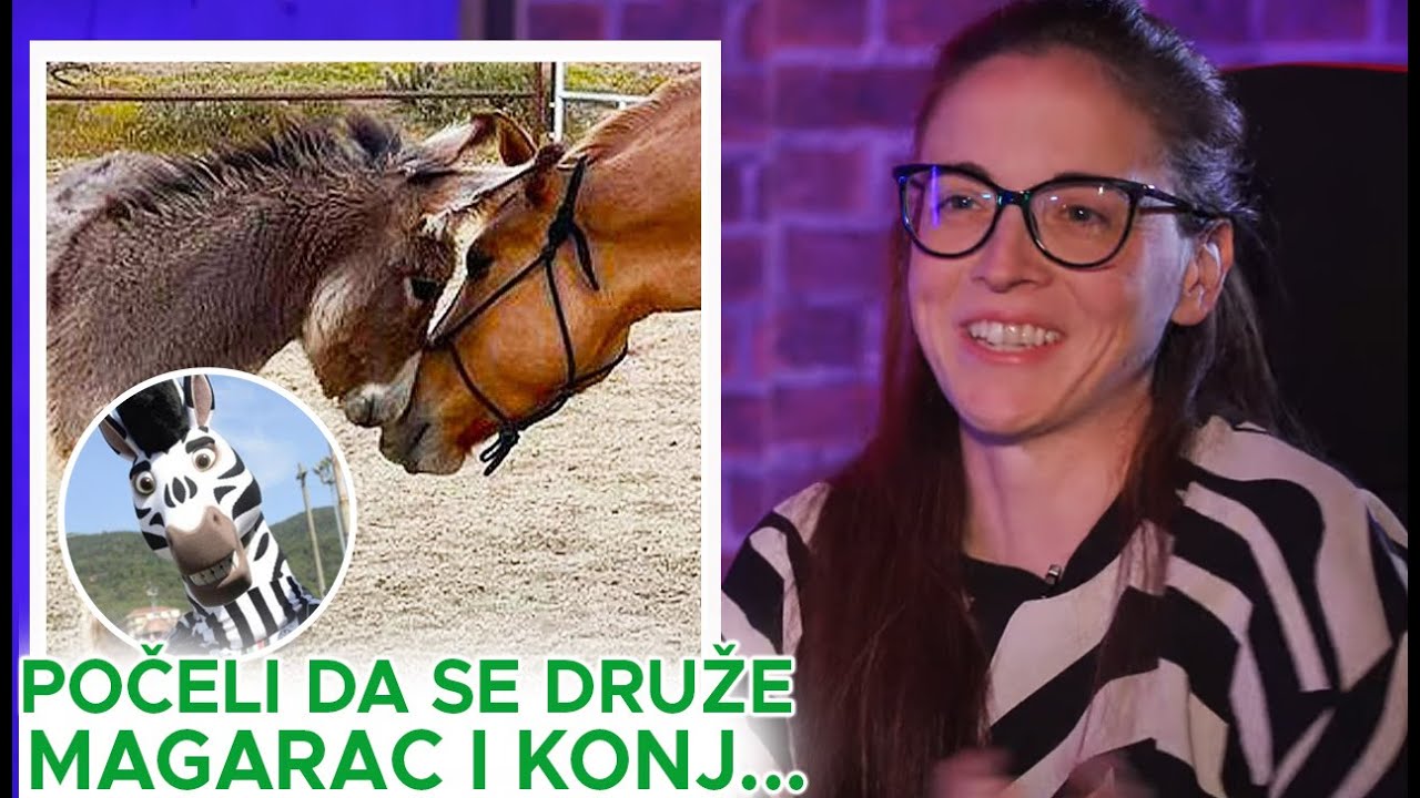 Adriana Tanasković priča vic: "Počeli da se druže magarac i konj…“ - YouTube