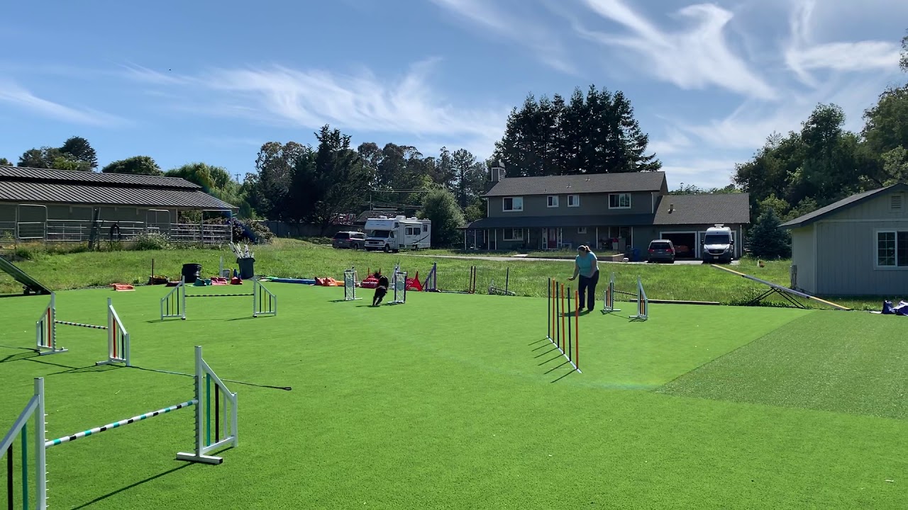 Gamblers course 2 - YouTube