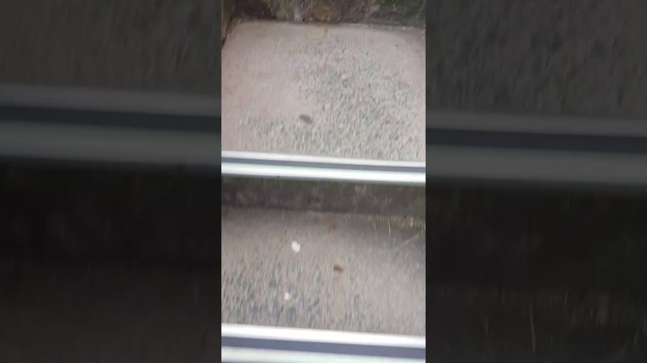 Kangaroo Point cliff stairs - YouTube