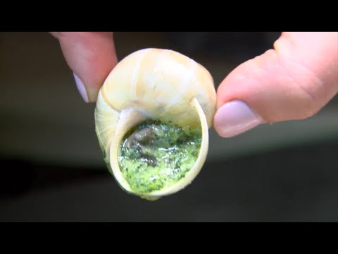 Ukrayna restoranında ilbiz yeməkləri