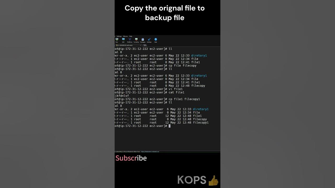Linux Command Backup File How To Copy Linuxcommands English Tamil Linuxcommand Youtube